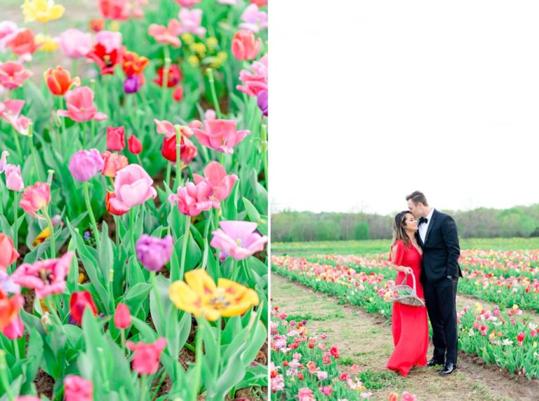 Tulip Field Photos at Burnside Farms in Nokesville, VA: Skyler + Diem