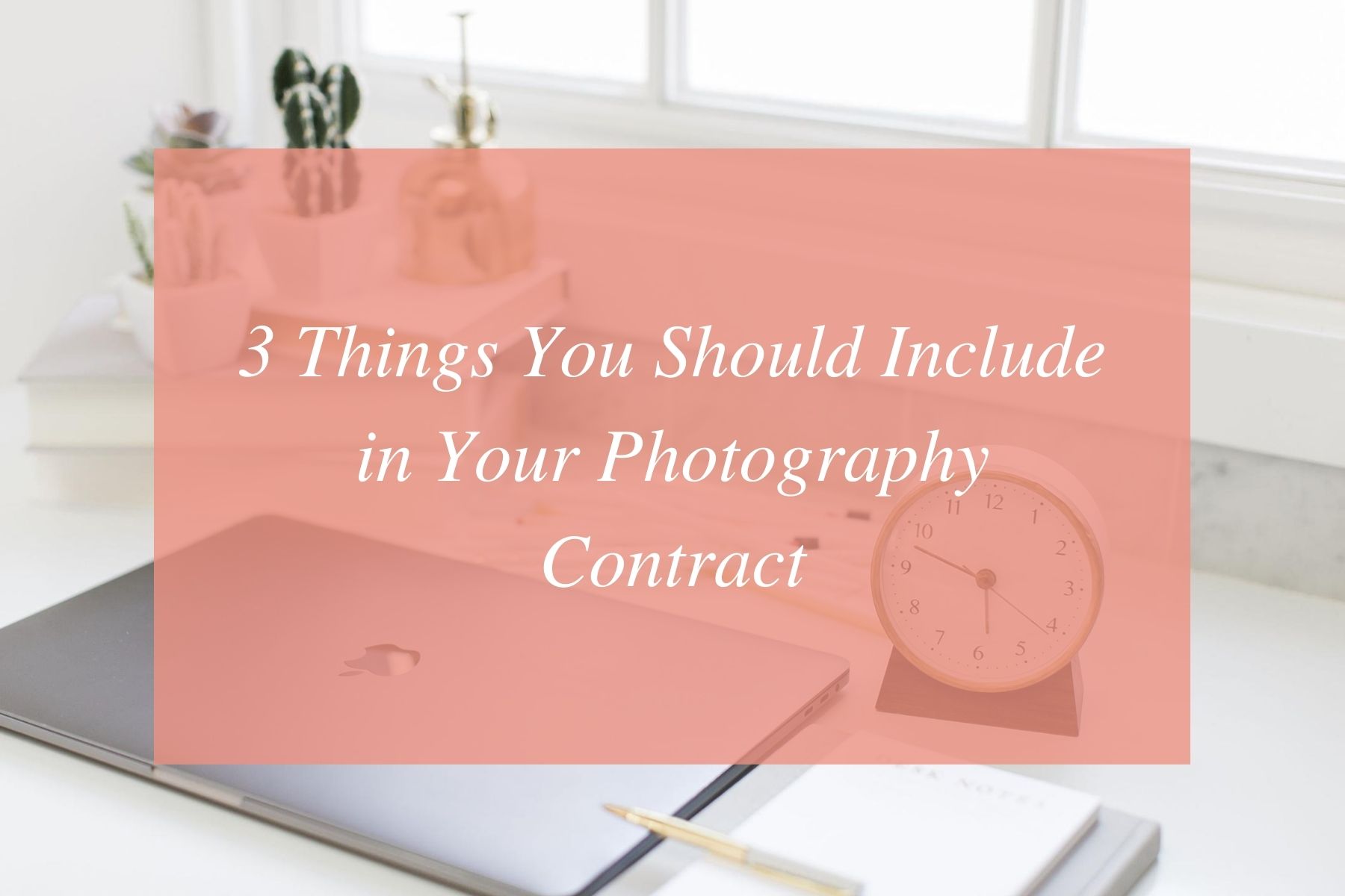 3 Essential Things To Include In Your Photography Contract