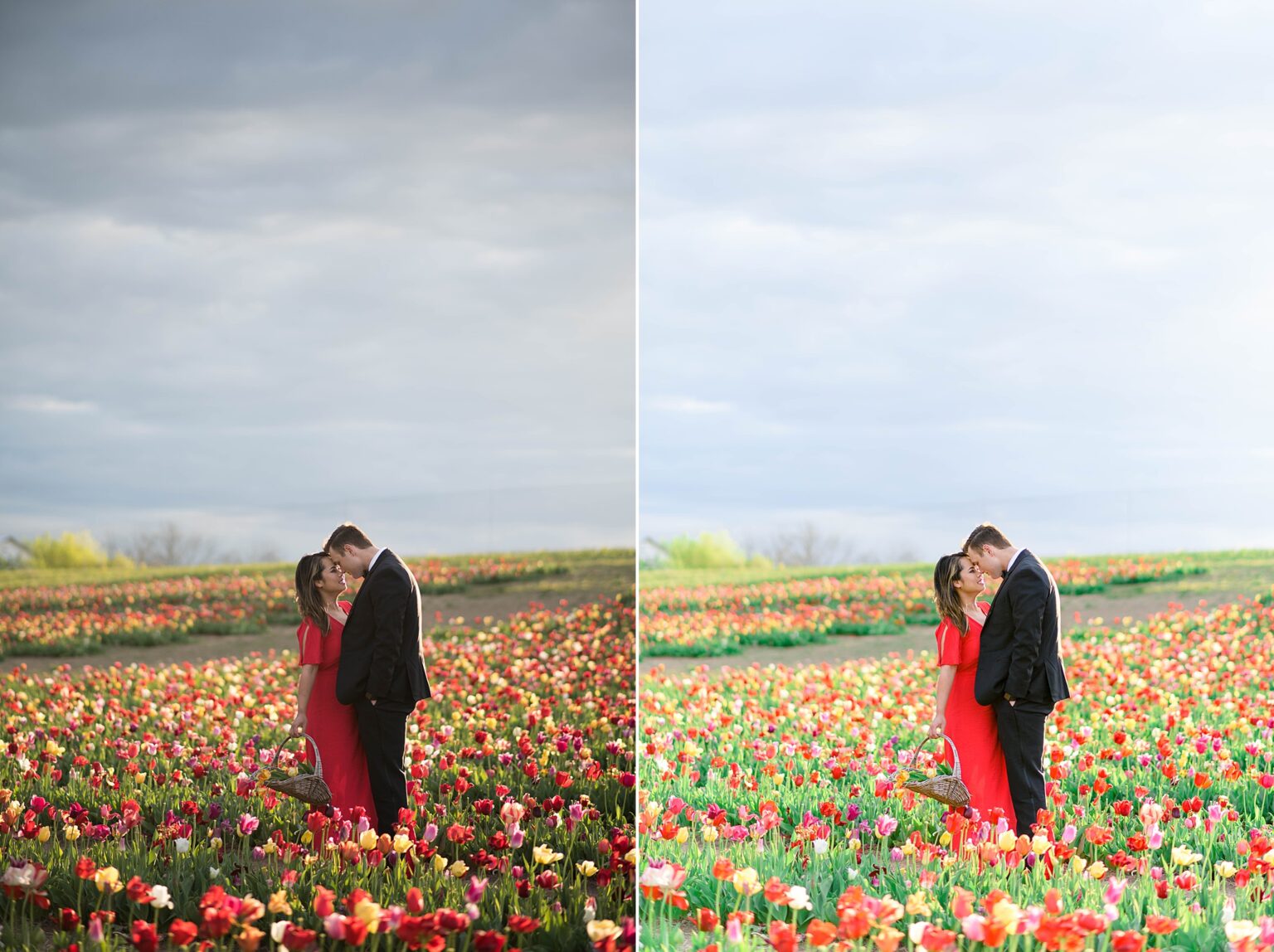 3 Types of Light for Great Photos and How to Shoot in Them