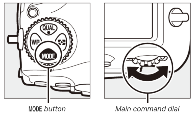 Nikon D850 Recommended Settings