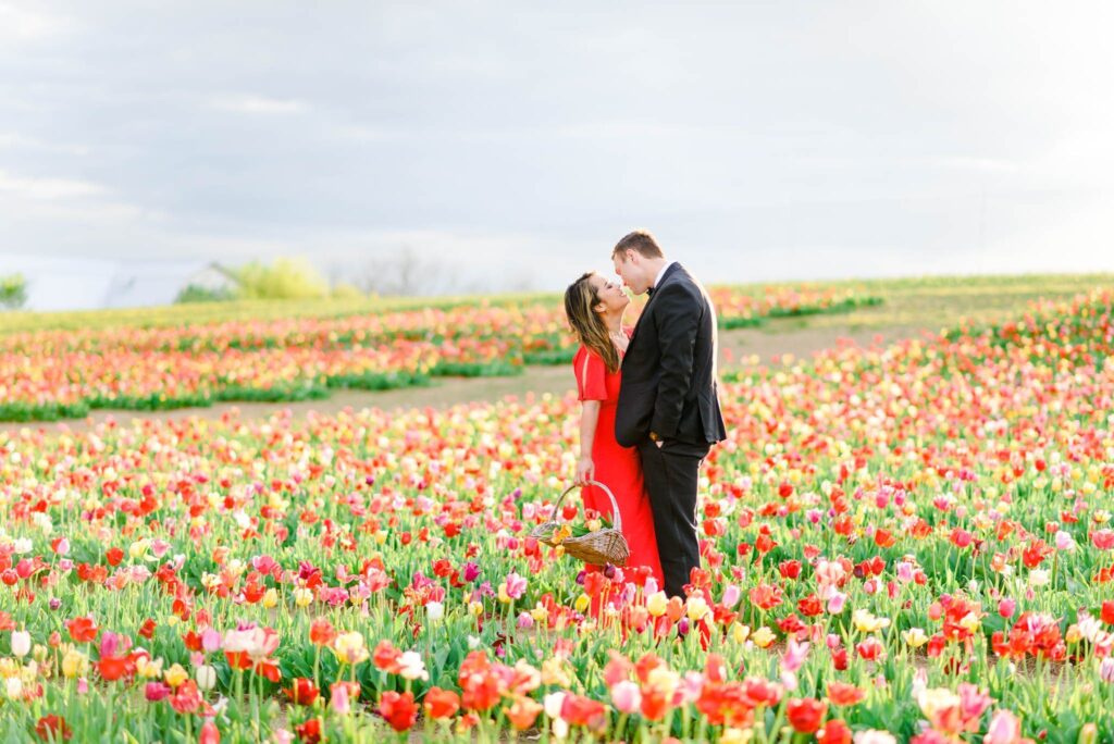 Light and Airy Photography 101 | Alina Thomas Photography